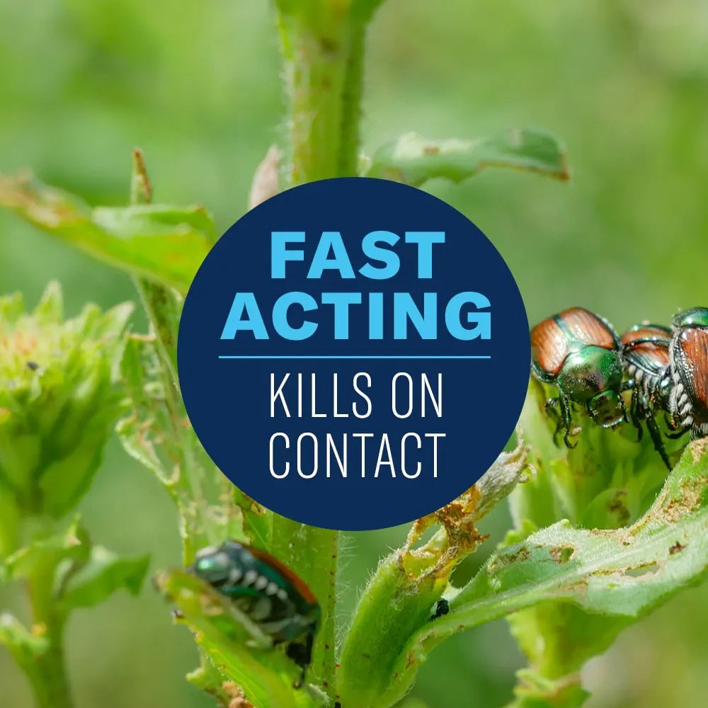 BIOADVANCED Tomato and Vegetable Insect Killer - Etowah, TN ...